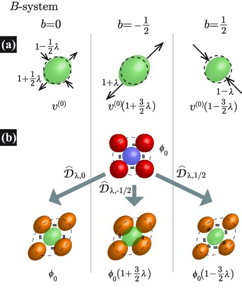 A Schematic Showing The Reproduction Of The Sheared Particle Download Scientific Diagram