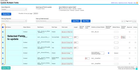 How To Mass Update Custom Fields In Salesforce Bofc
