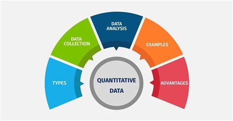 Quantitative Data Analysis Project Management Small Business Guide