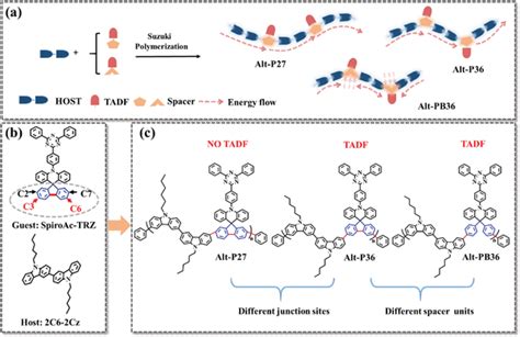 A Scheme Of Generally Designing Our Tadf Polymers B Molecular