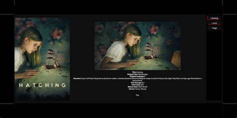 GitHub ShiNoNeko47 Reel Hub A Simple Hackable Gtk Movie Library Browser With Integrated Vim
