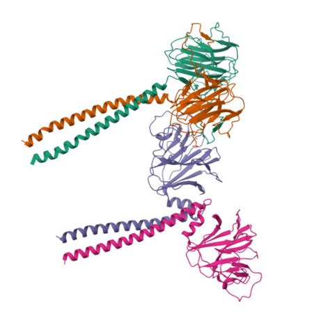 Rcsb Pdb 9ii6 Cryo Em Structure Of The Intracellular Domains Of