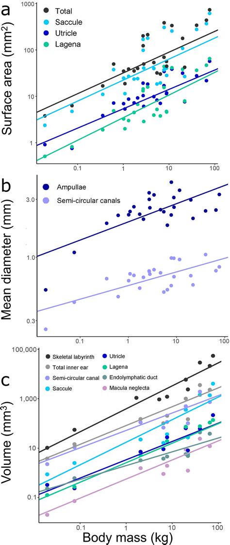 Interspecific Scaling Relationships Of Body Size And Inner Ear