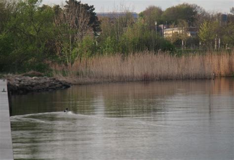 Diffraction And Reflection Of Waves Adventures In Oceanography And Teaching