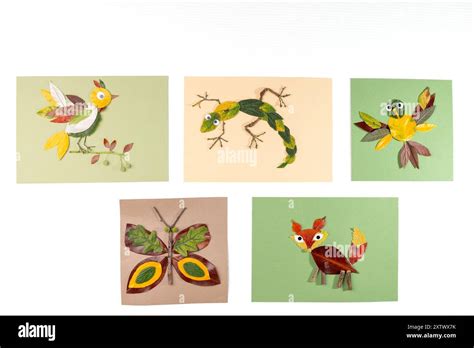 Handcrafted Figures Using Leaves Seeds Petals Six Vibrant Designs On