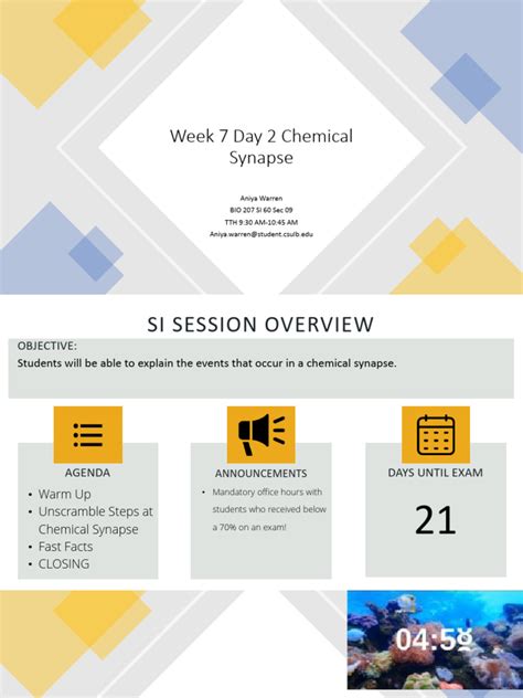 Chemical Synapse And Ns Pdf Chemical Synapse Action Potential