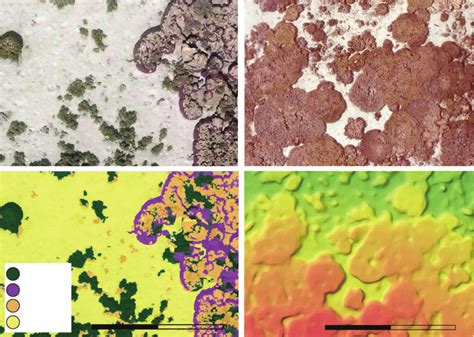 Using High Spatial Resolution Imagery A C To Derive Benthic