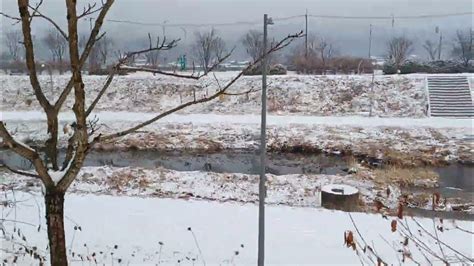 함박눈이 만든 시골 자전거 산책길 자연 눈썰매 스키장 Youtube