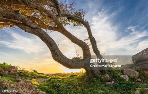 Twisted Architecture Photos And Premium High Res Pictures Getty Images