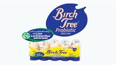 Top 3 Benefits Why Birch Tree Probiotic Is Good For Your Health The