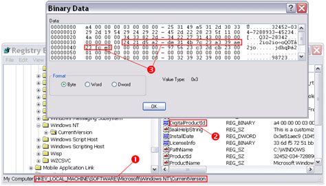 Microsoft Digital Product Id Decoder