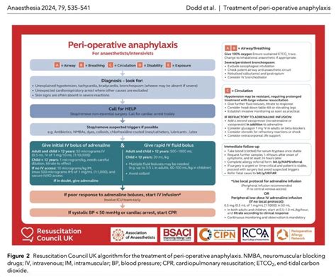 Dr Zuraini Md Noor On Linkedin Perioperative Anaphylaxis Algorithm 2024