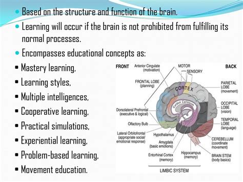 Brain Based Learning Theory