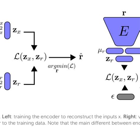 figure approximation of reversibility a the network trained without