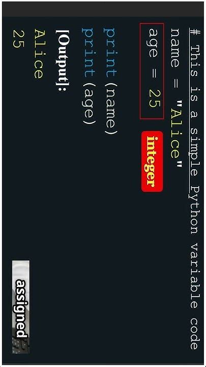 what are variables python language python learnpython pythonshorts youtube