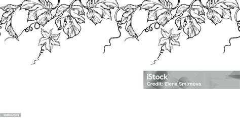 손으로 그린 잉크 벡터 호박 조롱박 호박 꽃 덩굴손과 잎 이음매 없는 테두리 수확 농업을 위한 스케치 일러스트레이션 아트 레스토랑 메뉴 인쇄 카페 웹사이트 청첩장 디자인