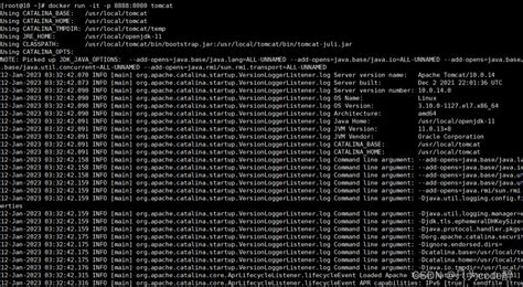 容器化技术docker由入门到实战 轻量级虚拟化docker容器实战 Csdn博客
