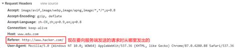 万字讲解w9种web应用攻击与防护安全 Youngs Blog 万字讲解w9种web应用攻击与防护安全 Youngs Blog