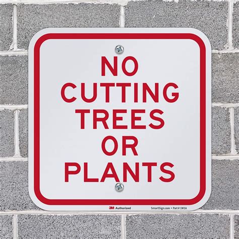 No Cutting In Line