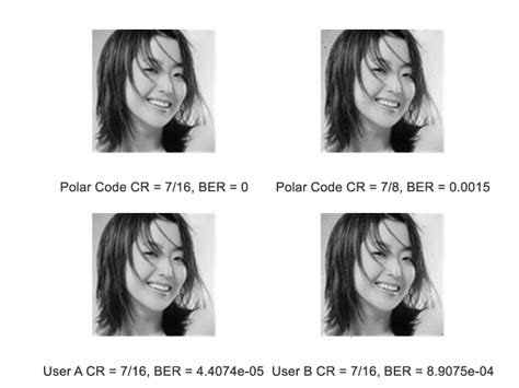 The Figures Restored By The Received Data After Decoding In This Field