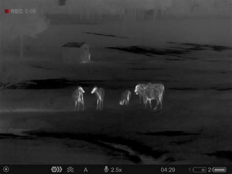 Manuals Pulsar Manuals Pulsar