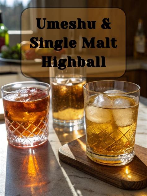 My Umeshu And Single Malt Highball Ingredients 1 Oz Umeshu Plum Wine