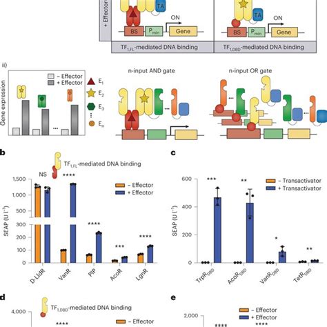 Modular Design Of Tfs A Schematic Overview Of Logic Modular Bacterial