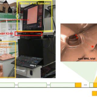 Experimental Setup A Tobii X Was Installed Under The Monitor Of Download Scientific