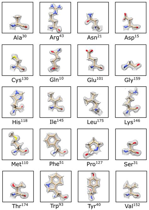 Jeol Usa Blog What Is Cryo Electron Microscopy Used For