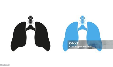 폐 인간 내부 장기 픽토그램 세트 건강한 기관지 호흡기 계통 라인과 실루엣 아이콘 흰색 배경에 호흡 질환 기호 모음입니다 격리된
