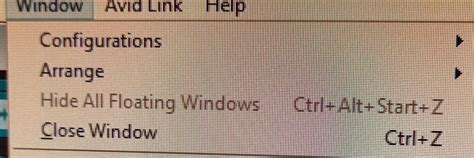 Hello I Used To Have Ctrlz Shortcut For Undo Now It Closes The