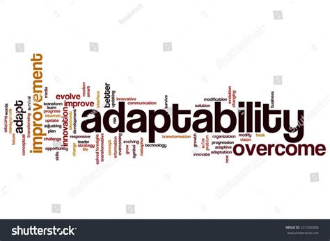 Adaptability Word Cloud Concept