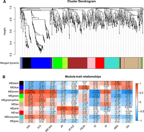Degs And Hormone Correlation Analysis In Two Apricot Kernel Cultivars