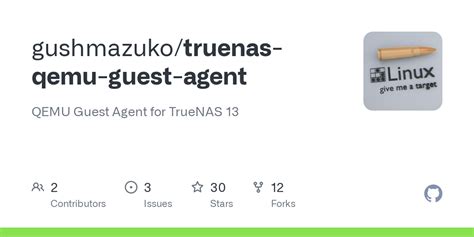 Issues · Gushmazukotruenas Qemu Guest Agent · Github