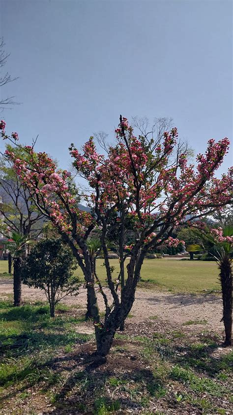 교육사랑 홈페이지에 오신것을 환영합니다