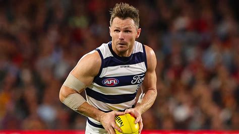 cats star set for scan crows stewart plan fails