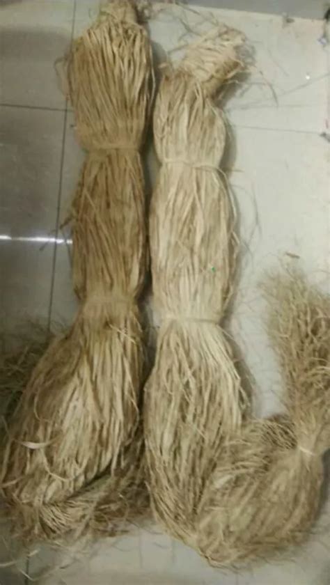 Grass Raffia At ₹ 800kg Natural Raffia In New Delhi Id 24005674488