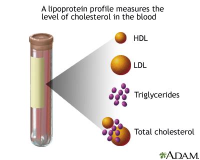 Hdl Blood Test Results Explained Infoupdate Org