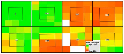 Geospatial Robust Wheat Yield Prediction Using Machine Learning And Integrated Crop Growth Model