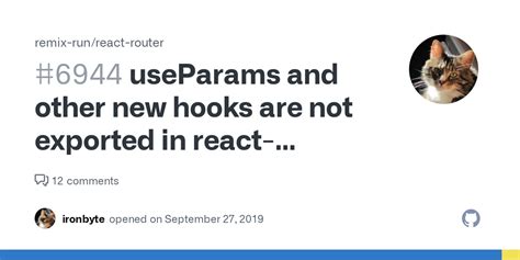 UseParams And Other New Hooks Are Not Exported In React Router Dom React Router Issue