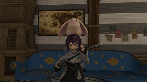 Top 25 Ff14 Best Ui Settings For Pc Gamers Decide