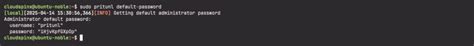 Install And Configure Pritunl Vpn On Ubuntu 2404 Cloudspinx