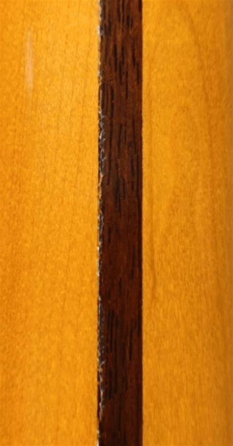 Skunk Stripe Issue Rluthier