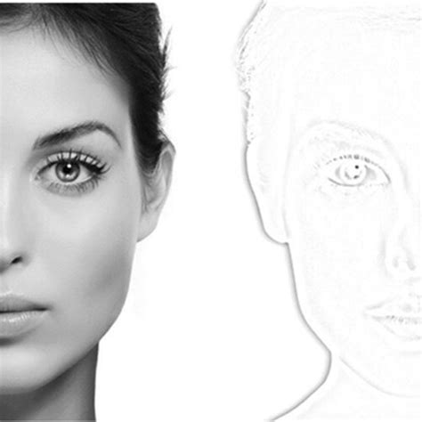 example of the image texture component download scientific diagram