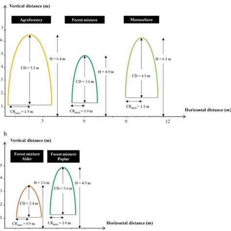 Schematic Representation Of The Crown Profile Of A Tree Where H Is Download Scientific Diagram