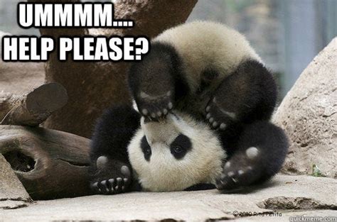 Open Source Cloud Storage Solution Rselfhosted