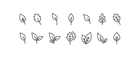 Leaf Line Icon Set Tree Leaves Vector Vector Art At Vecteezy