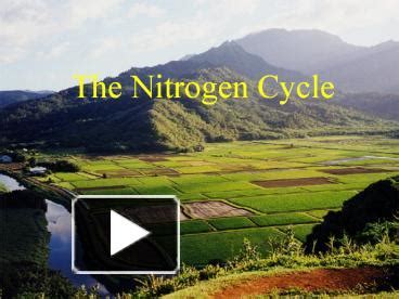 The Nitrogen Cycle Presentation Free To View