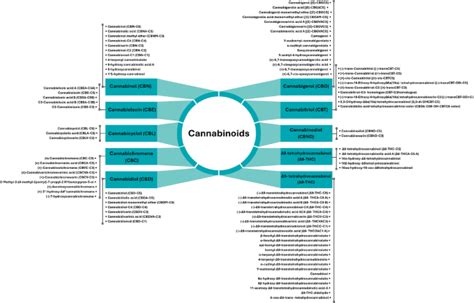 Chemical Composition Classification And Metabolism Of Cannabinoids