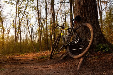 숲에서 산악 자전거 자갈 자전거는 일몰에 숲 길에 나무 옆에 서있다 활동적인 라이프 스타일 컨셉 건강한 생활방식에 대한 스톡